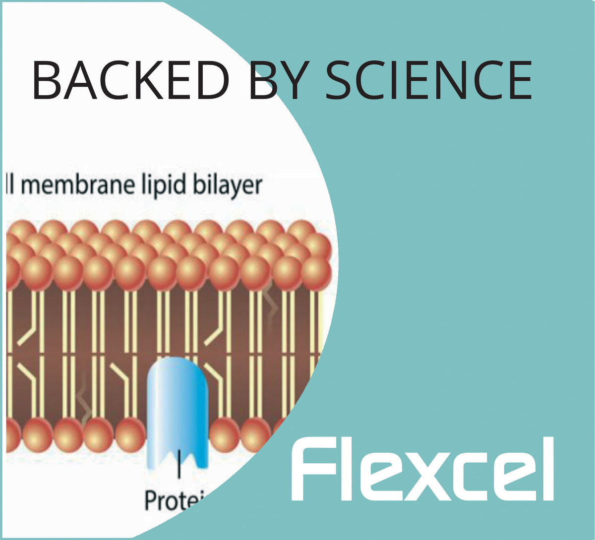 FlexCel CMO/Celadrin canine anti-inflammatory – Ace Canine Healthcare
