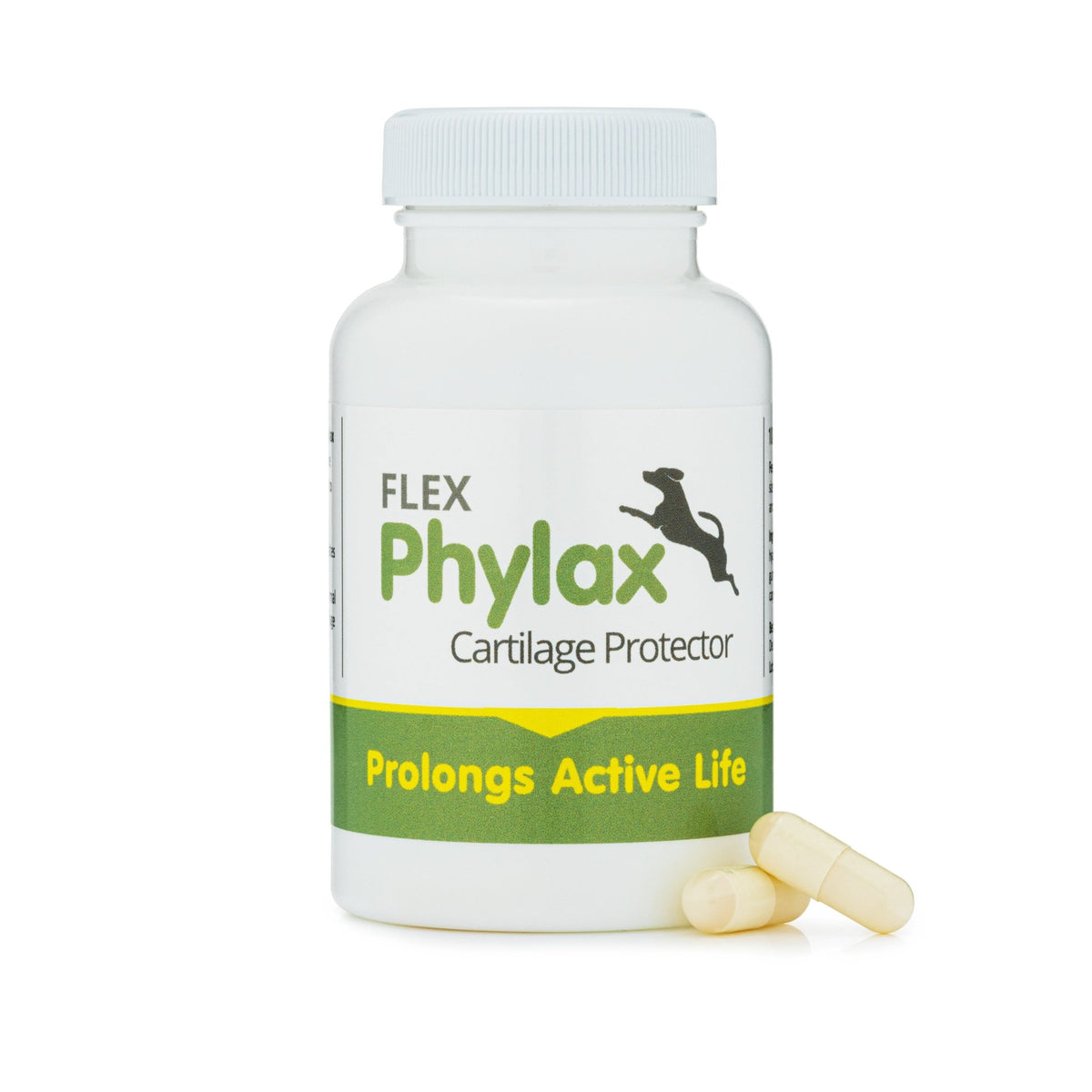 Phylax cartilage protector - 100 capsules - 3 months supply! – Ace ...